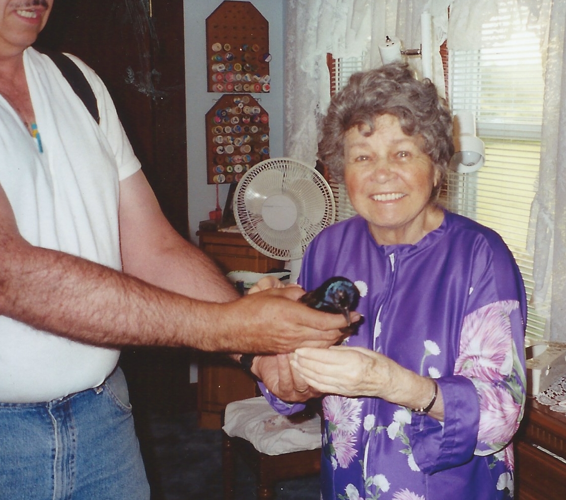 Roger Bird 99 3 | Brainstorms